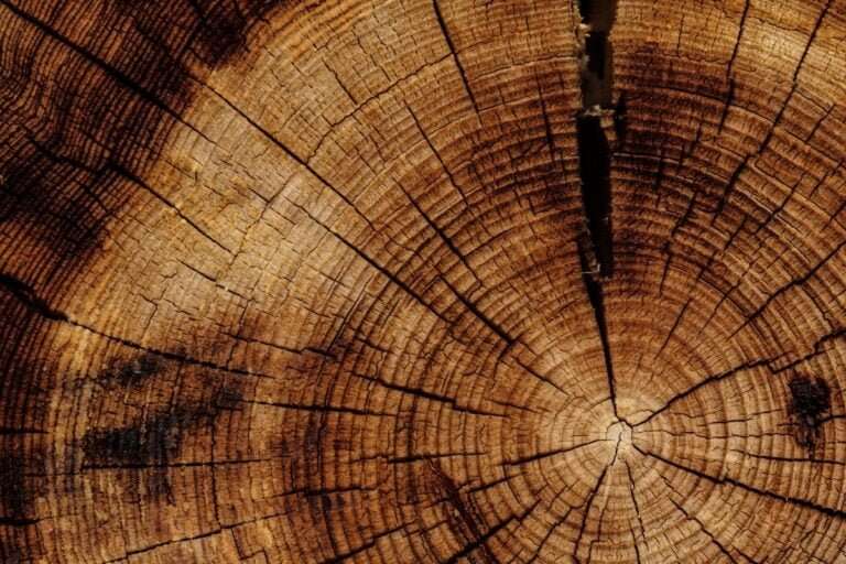 How Composite Wood is Changing the Construction Industry - Indowud nfc